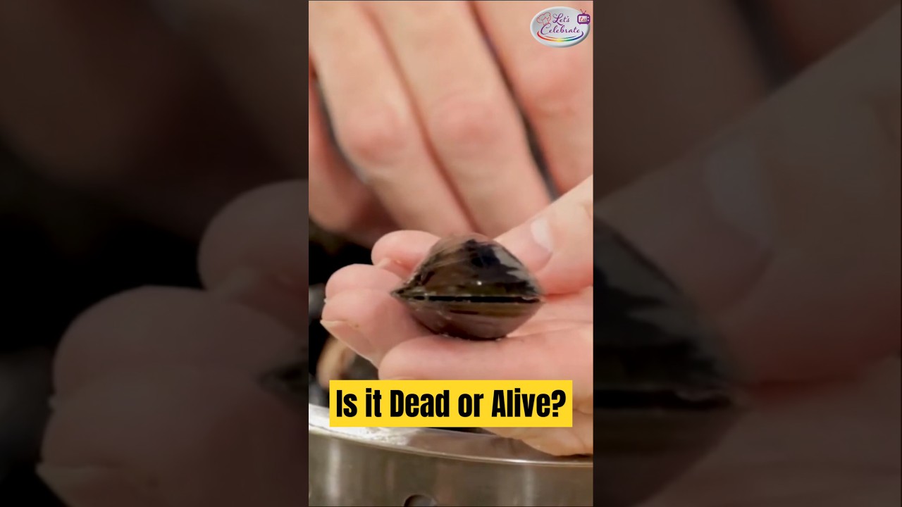 Mussels - Dead or Alive? How to Inspect Mussels for Cooking? - Let's ...